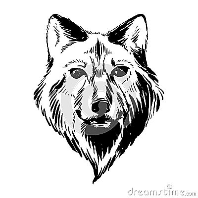 Von Hand Gezeichnete Tiere Der Markierung Wald: Wolf Stock Abbildung ...