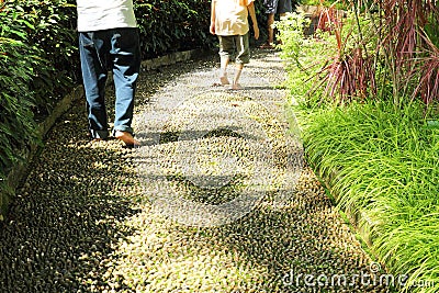 198 Reflexology Footpath Photos - Free & Royalty-Free Stock Photos from ...