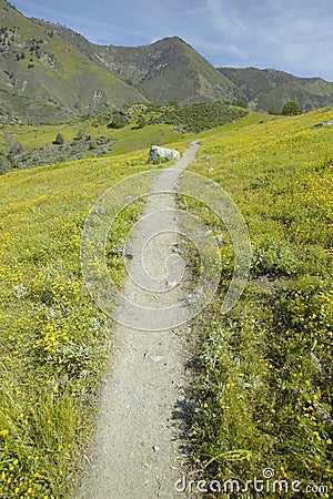 Walking Path Through Spring Flowers Royalty Free Stock Photo - Image ...