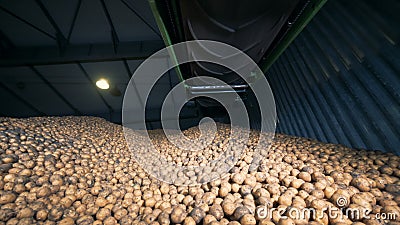 A Warehouse with Potatoes, Close Up. Stock Footage - Video of potato ...