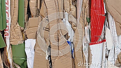 Waste Paper from Pressed Cardboard Boxes is Sorted and Packed for ...