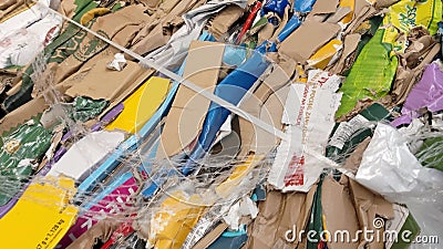 Waste Paper from Pressed Cardboard Boxes is Sorted and Packed for ...