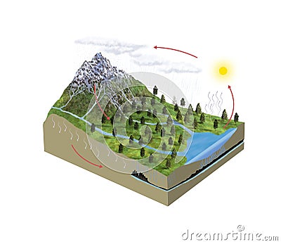 Water Cycle Royalty-Free Cartoon | CartoonDealer.com #48838697