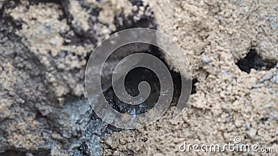 Water Dripping in Dirt Puddle Undergrond. Soil, Sand Stock Footage ...