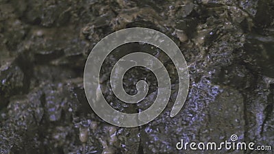 Water Dripping Down on a Cold Rocks. Slow Motion Stock Video - Video of ...