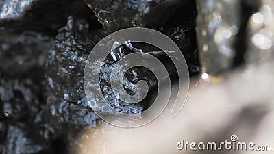Water dripping on rocks stock video. Video of clean - 117839273
