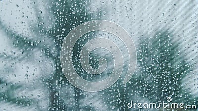 Water Droplets Drip Down a Screen Window during a Heavy Thunderstorm ...