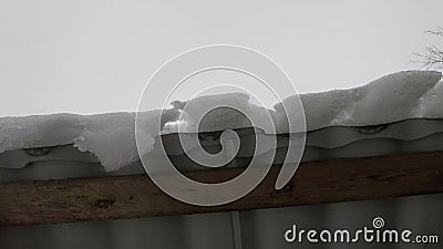 The Water Drops Fall from the Roof Onto the Camera Stock Footage ...