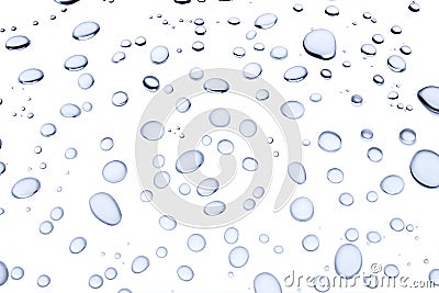 Water Drops On White Royalty Free Stock Photo - Image: 7038795