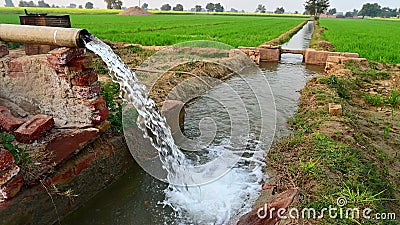 Water Flow through Big Pump Tube in Wheat Field. 4k Stock Footage ...