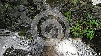 Water Flowing Over Rounded Stones through the Thin Valley. Broken Trees ...