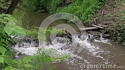 Water Flows through the Raft that the Beavers Built, Forming a Small ...