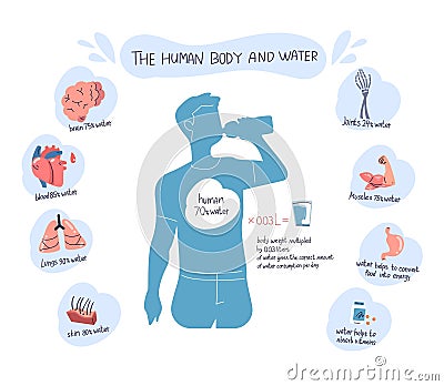 Water Function In Body. Fluid Composition Of Human, Drinking Benefits ...