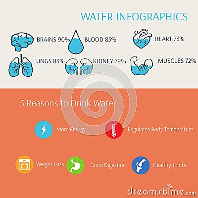 Water In Human Body Infographics Vector | CartoonDealer.com #84833160