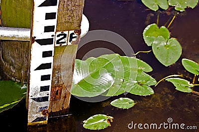 Water Level Sign Royalty-Free Stock Photo | CartoonDealer.com #43050435