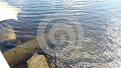 Water Pollution Industry Pipe Waste Dump Stock Footage - Video of ...