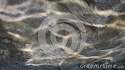 Water Ripple Caustic Light Reflections on Stone Wall Stock Footage ...