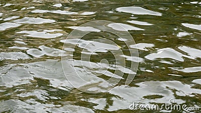 Water Ripples on Surface of Pond Stock Footage - Video of wave, nature ...