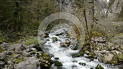 Mountain Streams. Water Ripples. Surface of the Water. Stock Video ...