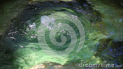 Water Splash of Hot Spring stock video. Video of mineral - 47775603