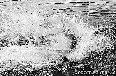 Splash of Fall Color stock photo. Image of yellow, blue - 96861696