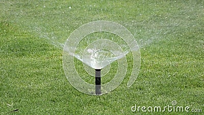 Water sprinkle stock video. Video of grow, farms, intelligent - 42630973