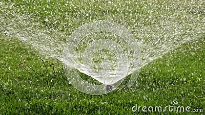 Water sprinkle stock footage. Video of irrigate, garden - 42678362