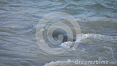 Water Stream at the River Riffle Stock Footage - Video of energy ...