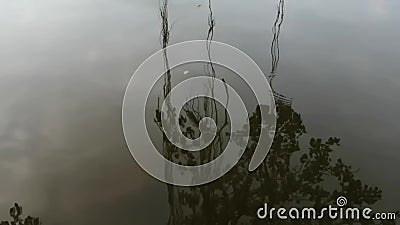 The Water Waves or Ripples Formed on the Surface of Water in Pond are ...