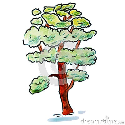 Watercolor Cedar Tree Light Green Cartoon Figure Stock Illustration ...
