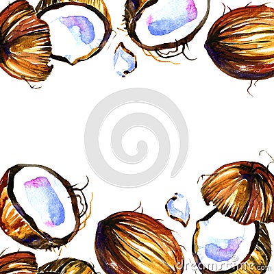 Watercolor Coconut Background. Background For Packaging, Cards And ...