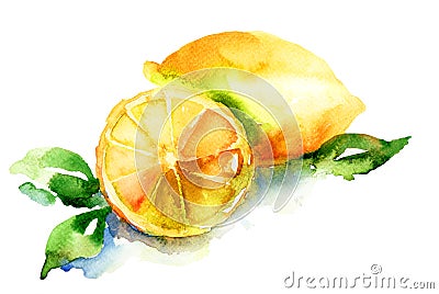 Watercolor Illustration Of Lemon Stock Photo - Image: 29418860