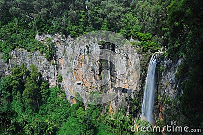 Waterfall And Cliffs, Springbrook, Australia Stock Photos - Image: 19227763