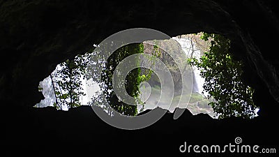 The Dry Tree and Waterfall stock video. Video of cave - 47913583