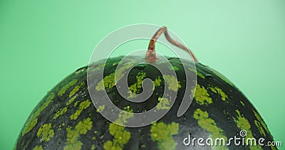 The Watermelon Falling Drops of Water and Drain it. Stock Footage ...
