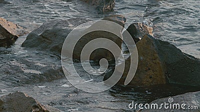 Waves Beating Against the Rocks Stock Footage - Video of splash, coast ...