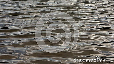 Waves on pond stock footage. Video of ripple, pond, aqua - 51460590