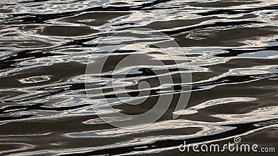 Waves on pond stock footage. Video of lake, grass, purity - 51305204