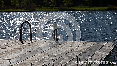 Waves on pond stock footage. Video of lake, grass, purity - 51305204