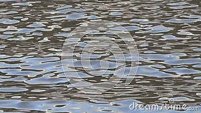 The Waves on the River are Painted by Nature in Beautifully Combined ...