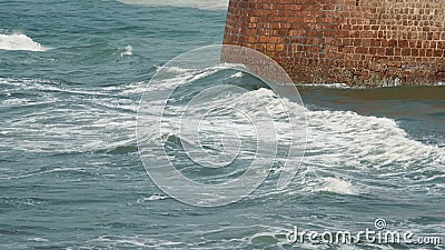 Waves Strike the Shell Which Lies on the Beach Stock Footage - Video of ...