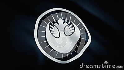 Waving In The Wind Flag With The Symbol Of Jedi Order. The Animation Of ...