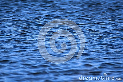 Wavy Water Royalty Free Stock Photography - Image: 17002407