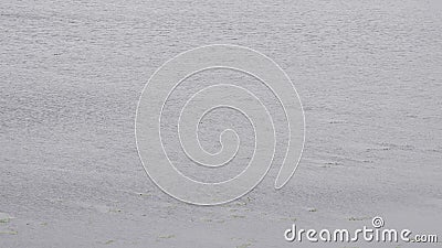 Weak Rain Falling on Lake Water Surface Stock Video - Video of peaceful ...