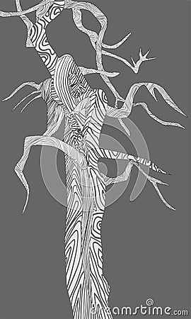 B&W Decorative Illustration Of Pine Tree. Snag, Standing Dead Tree ...