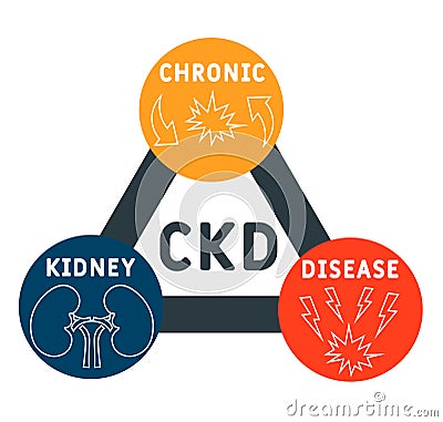 CKD - Chronic Kidney Disease Acronym, Medical Concept Background ...