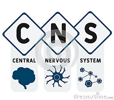 CNS - Central Nervous System. Acronym, Medical Concept Background ...