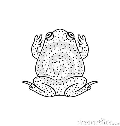 Frog Outline. Abstract Frog On White Background. Toad Vector ...