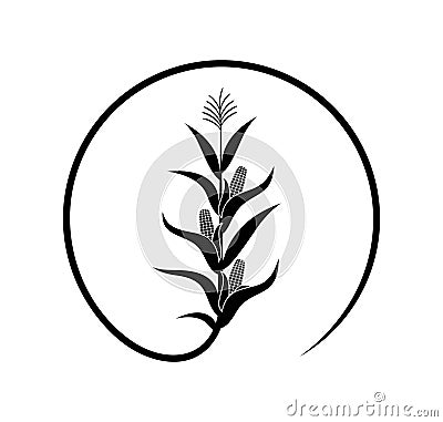 Corn Stalk Logo. Isolated Corn Stalk On White Background Cartoon Vector ...