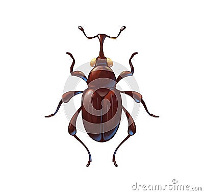 Weevil Bug Or Snout Beetle, Cute Cartoon Insect Vector Illustration ...